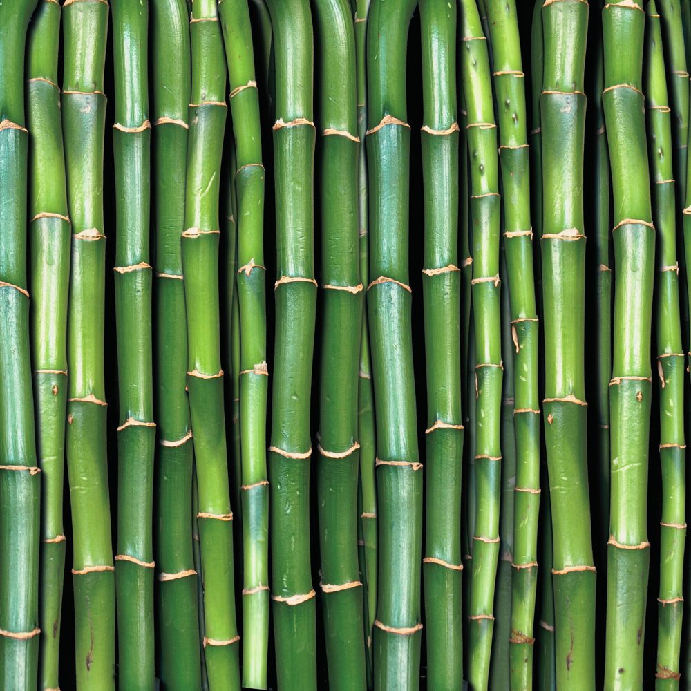 Natural Exfoliating Face Scrub | VITAMAN USA