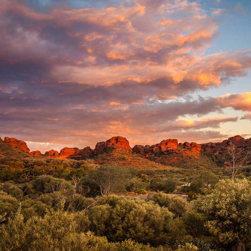 What Makes VITAMAN Different | Natural Men's Grooming Solutions ...